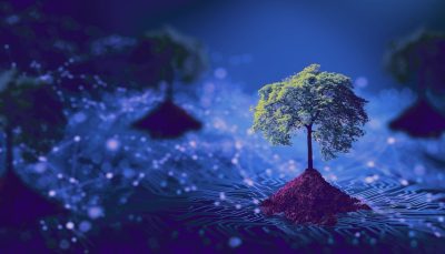 Unlock Green Streaming with Advanced CDN Technologies - CacheFly