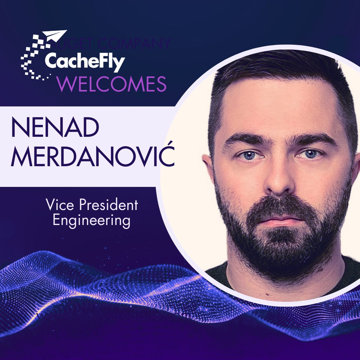 CacheFly Appoints Nenad Merdanović as VP